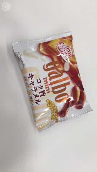 新商品 galbo mini | C CHANNEL